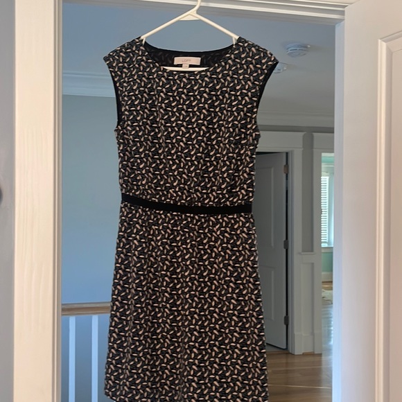 LOFT | Dresses | Loft Dress | Poshmark